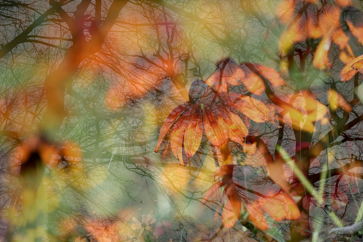 Collection 2018 | Thomas Teske Fotografie