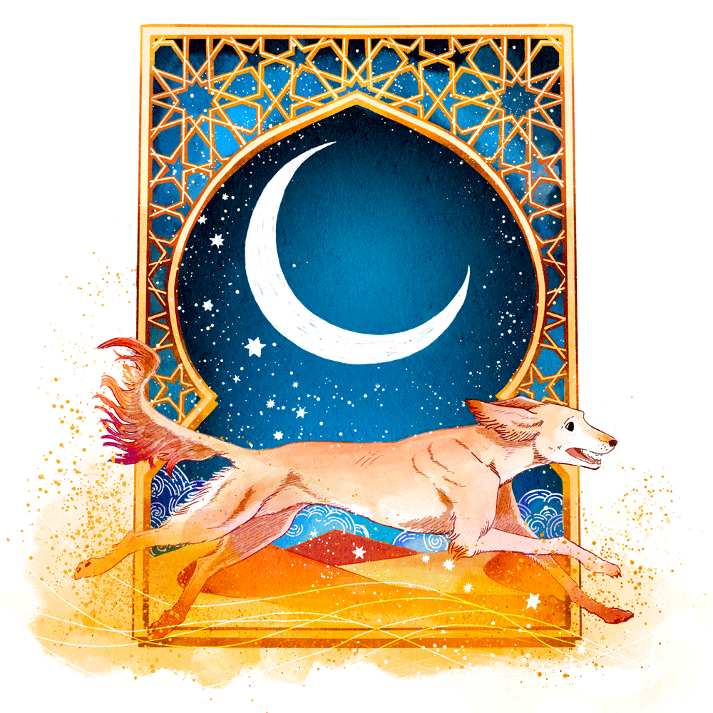 M.Kawashima | Illustration & Design