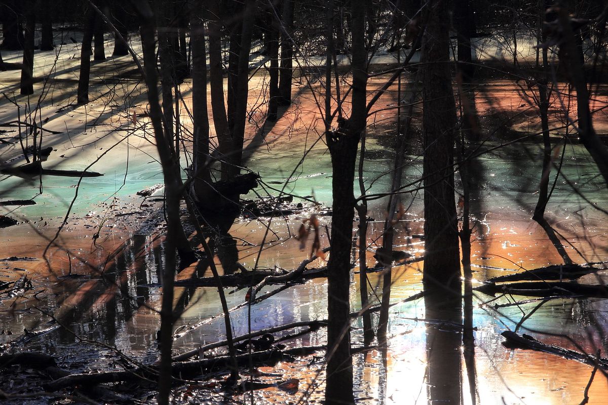 David Foster | the damn interior