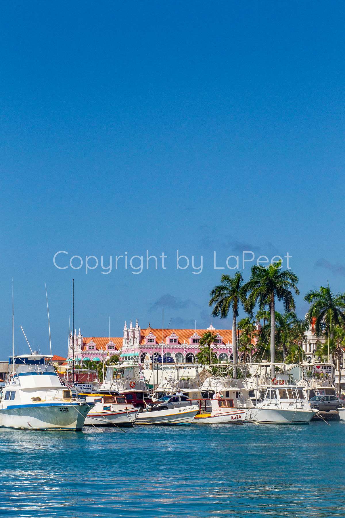 ARUBA | Photography by LaPeet