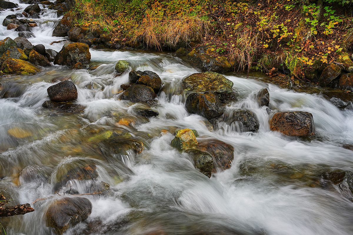 Alpine Creek, Denali Highway, Alaska | Lightscapes Nature Photography