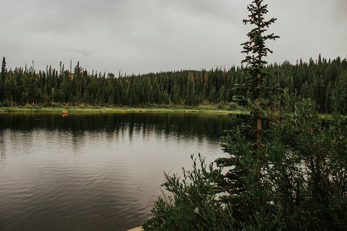 The Rockies | Summer