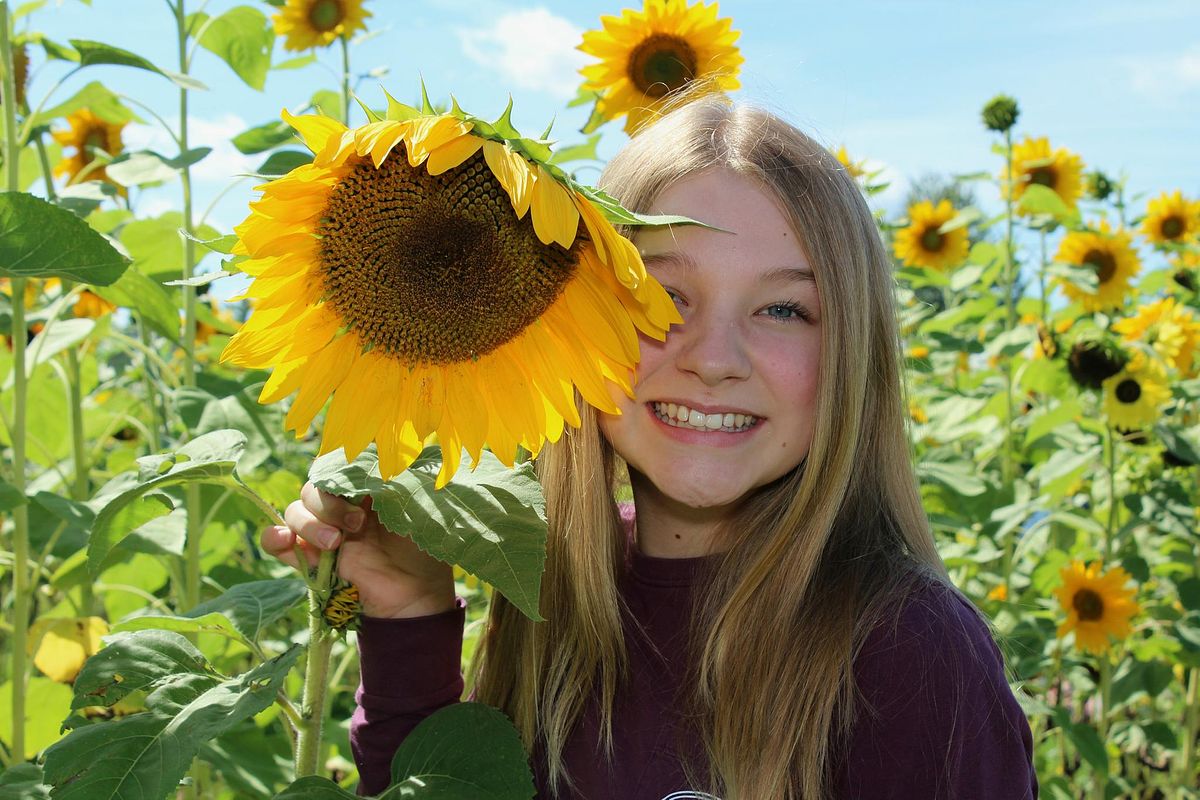 Testimonials | Melton Photography