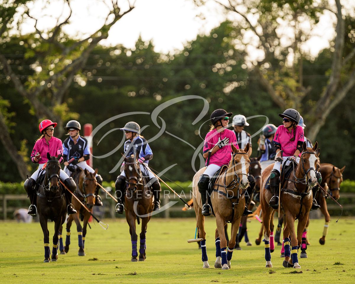Rachel | RSC Equestrian Media